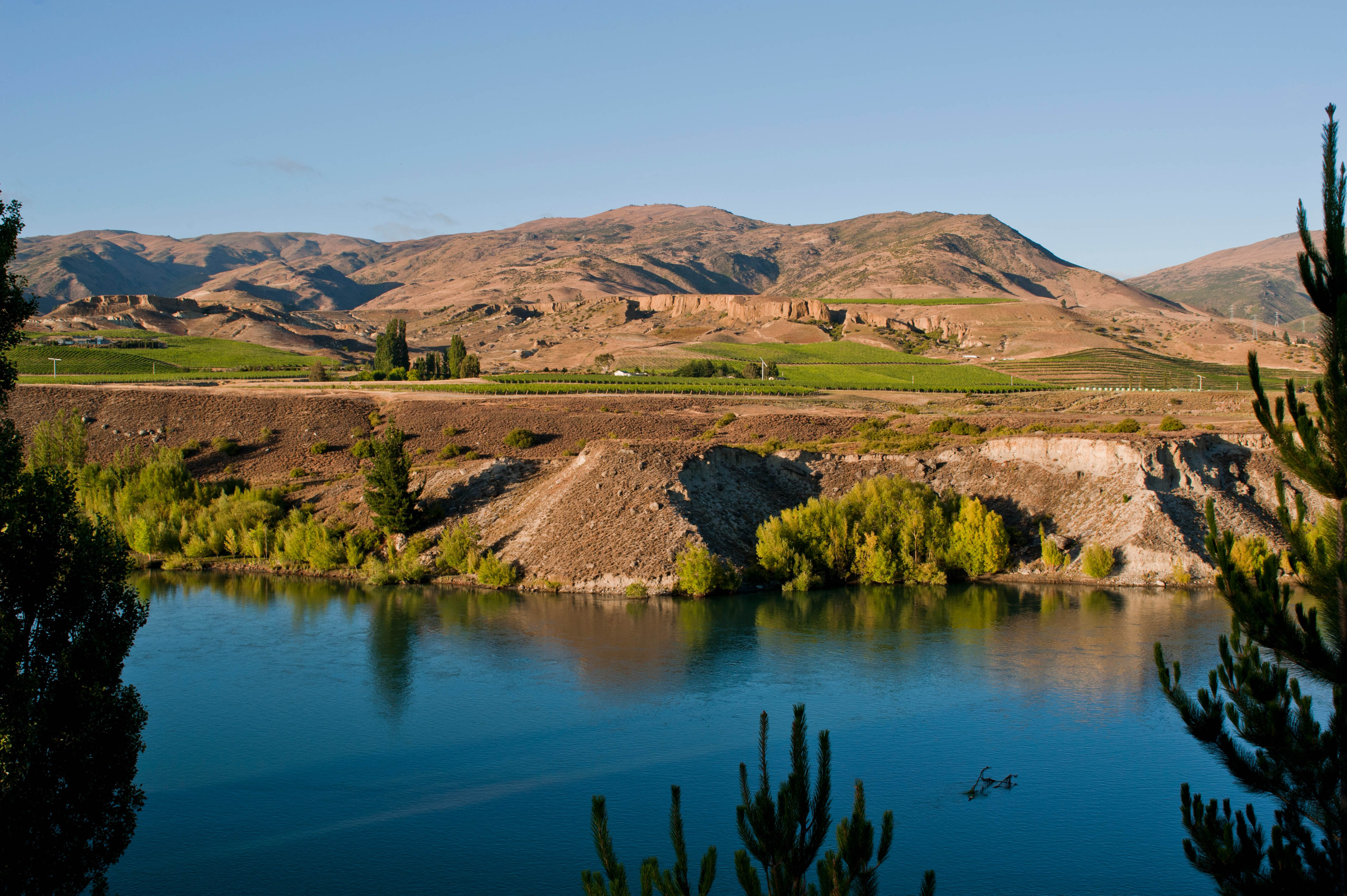 Calvert Vineyard – Felton Road Wines